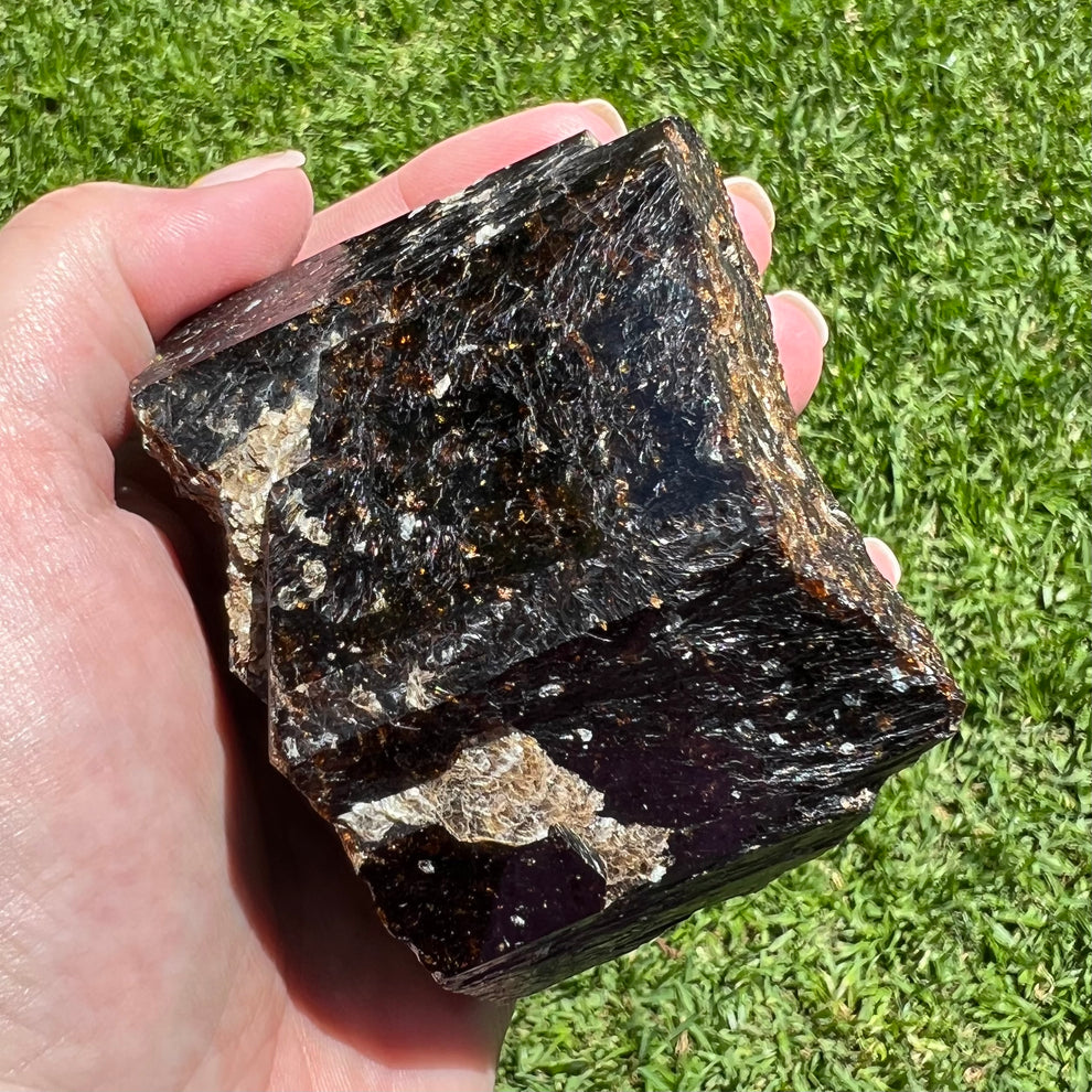 Large Rough Dravite Specimen (Brown Tourmaline) - Yinnethara Region, W ...